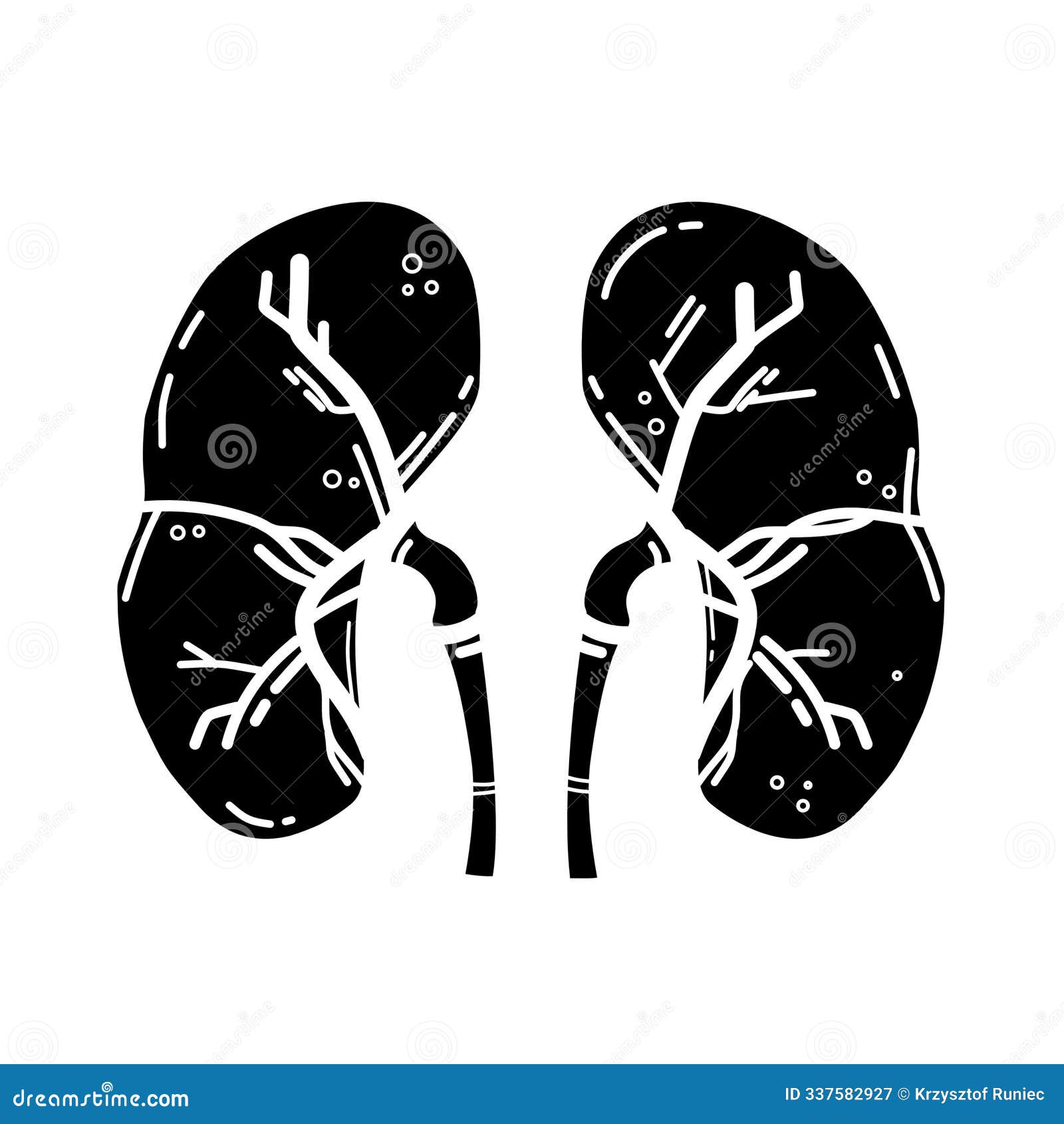 Kidneys Vector Icon. Kidneys Editable Stroke. Kidneys Linear Symbol For ...