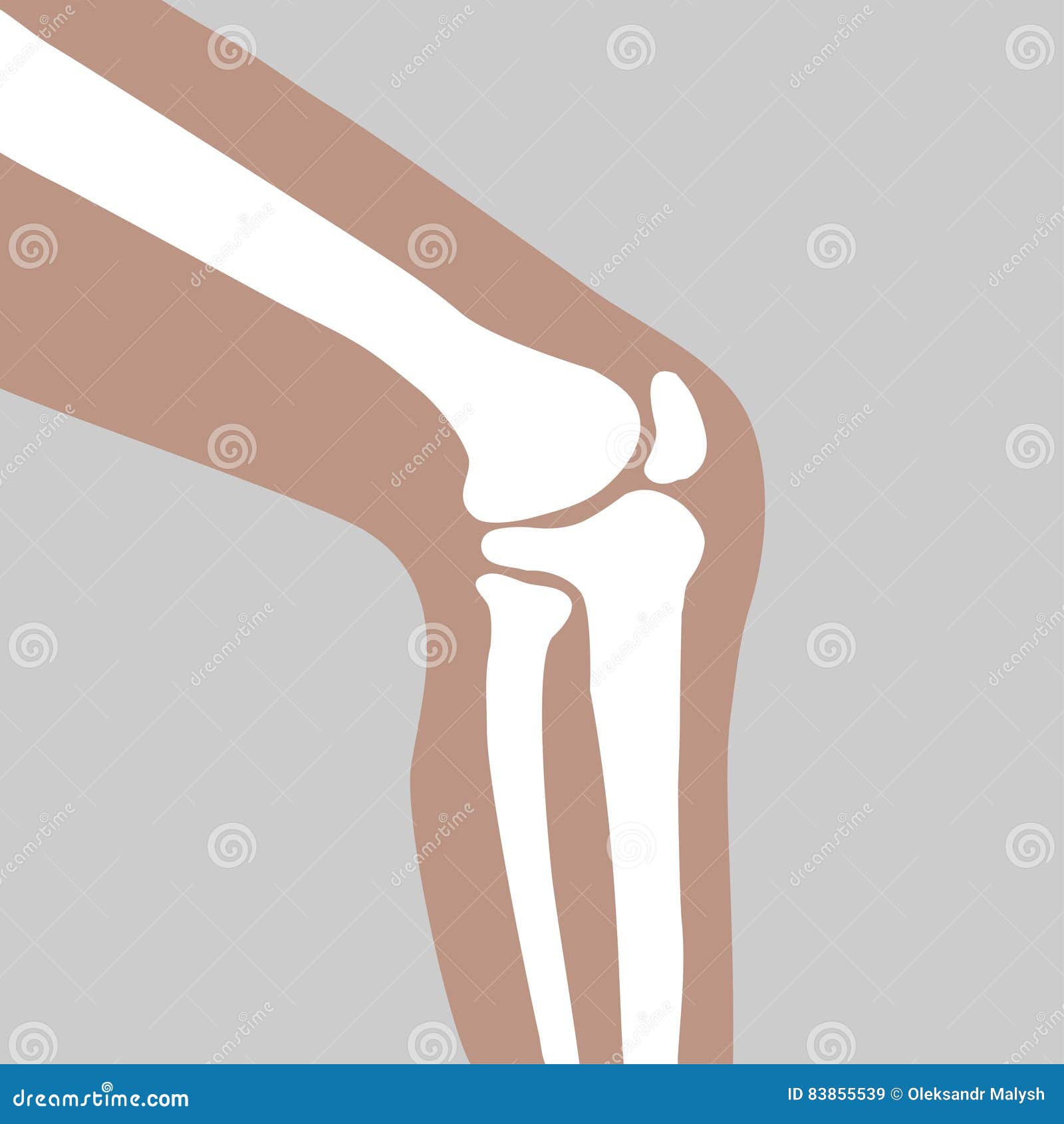 Human knee joint stock vector. Illustration of icon, healthy - 83855539