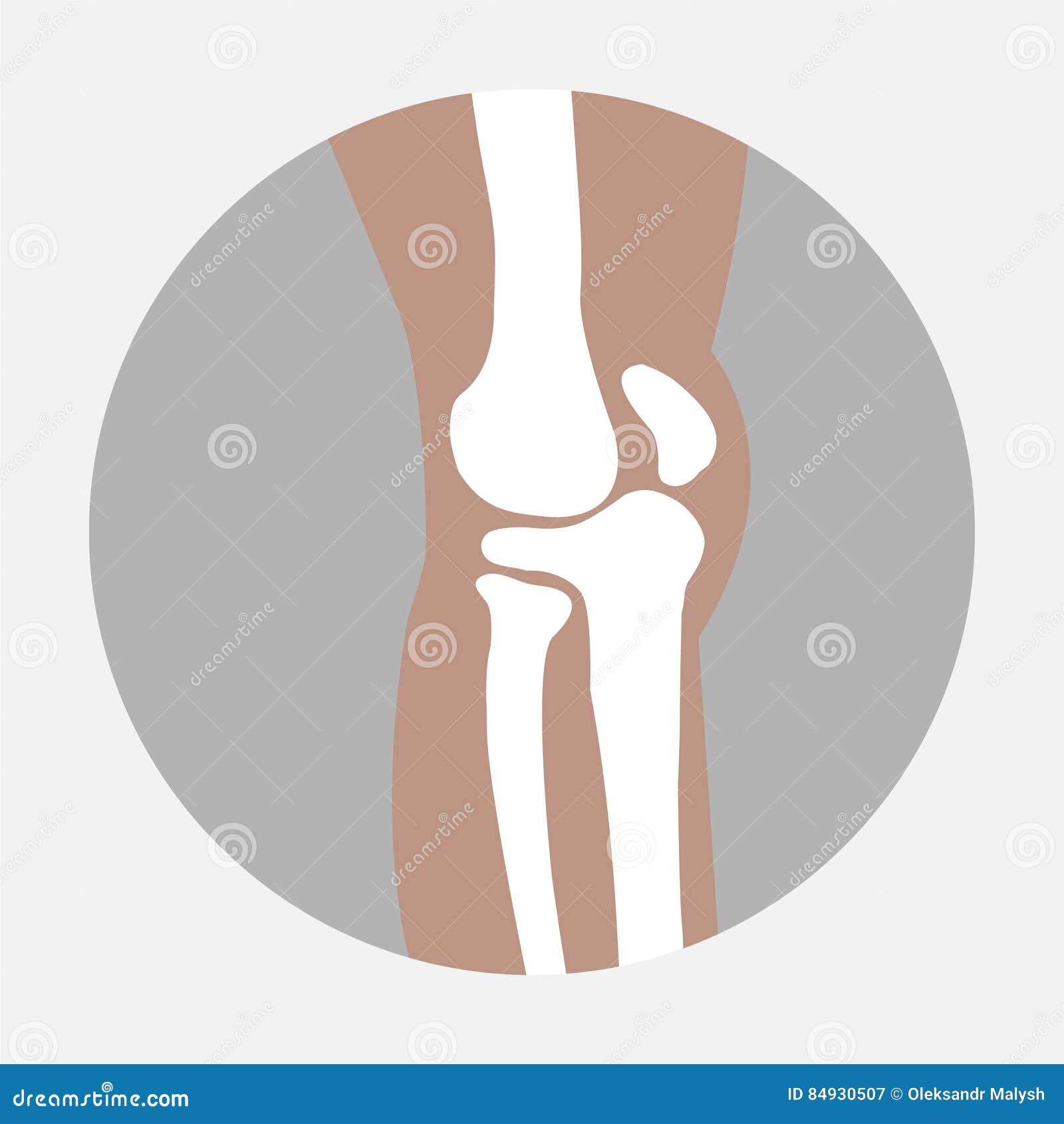 Human knee joint stock vector. Illustration of bone, injury - 84930507