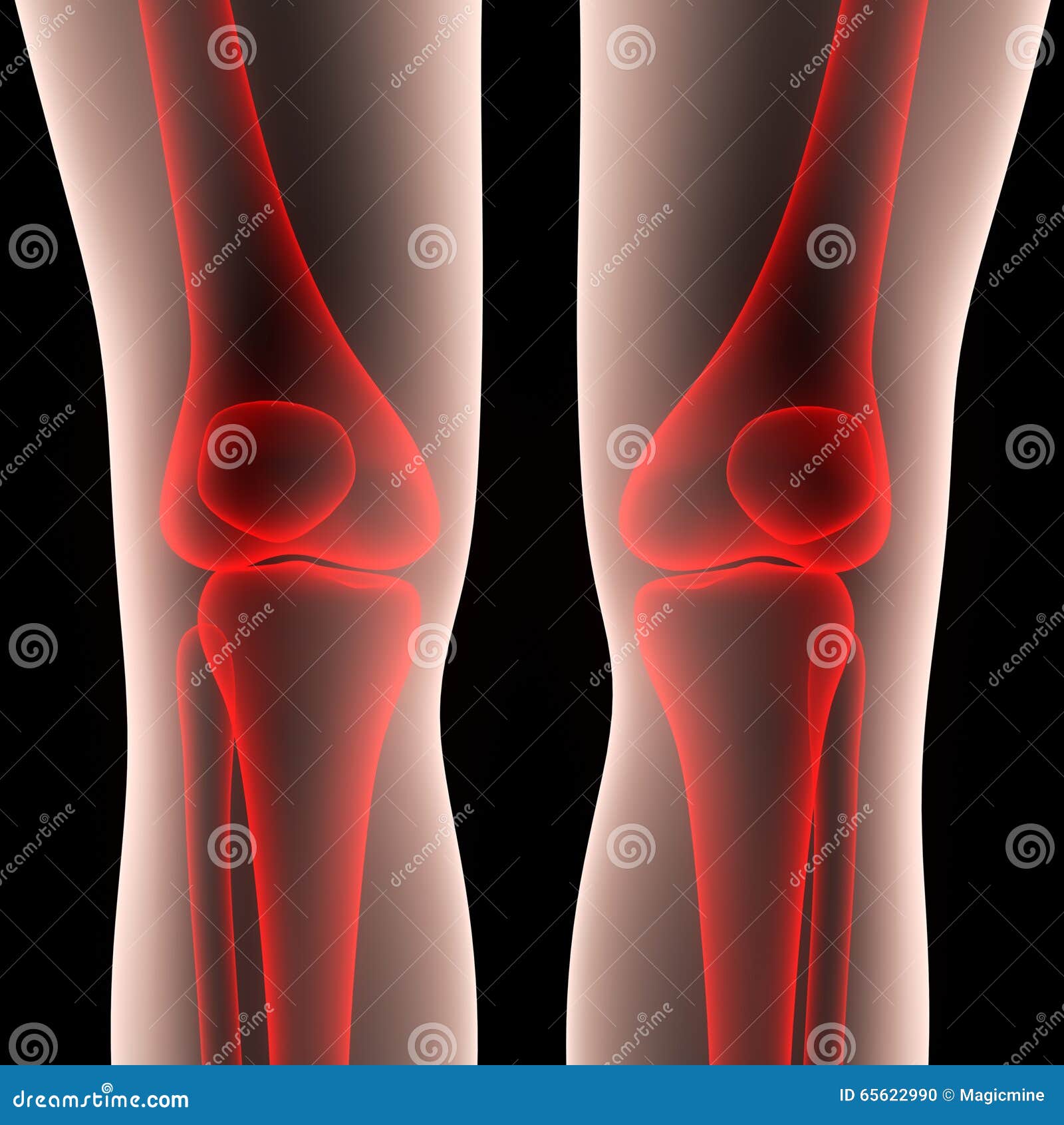 Human knee joints stock illustration. Illustration of cartilage - 65622990