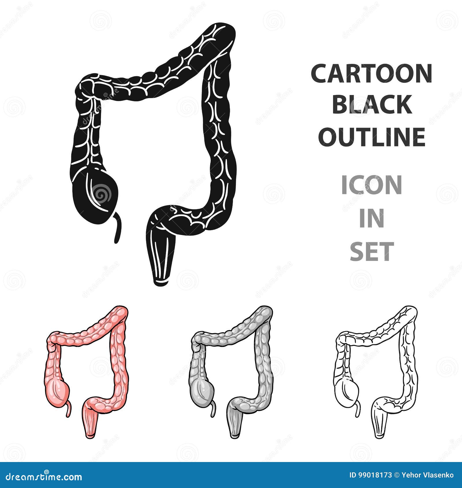Human Large Intestine Icon in Cartoon Style on White Background. Human ... Human Large Intestine Icon in Cartoon Style on White Background. Human ...