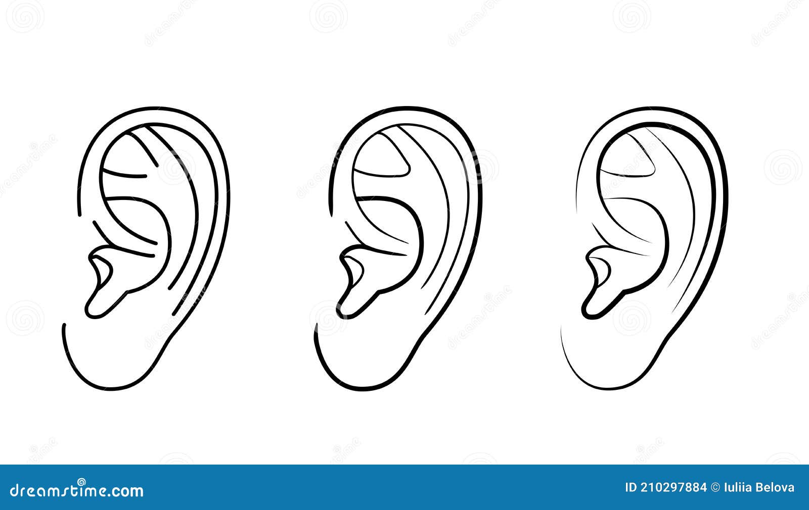 Human Left Ear Set, Simple Linear Drawing, Vector Illustration Stock ...