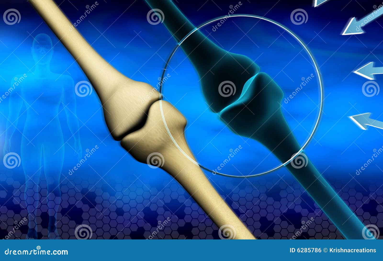 Human leg bone joint stock illustration. Illustration of health - 6285786