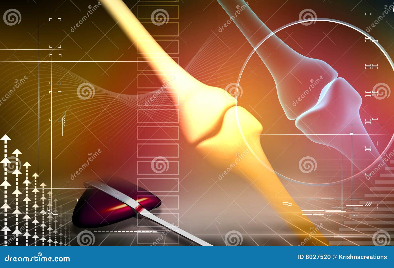 Human leg bone joint stock illustration. Illustration of health - 8027520