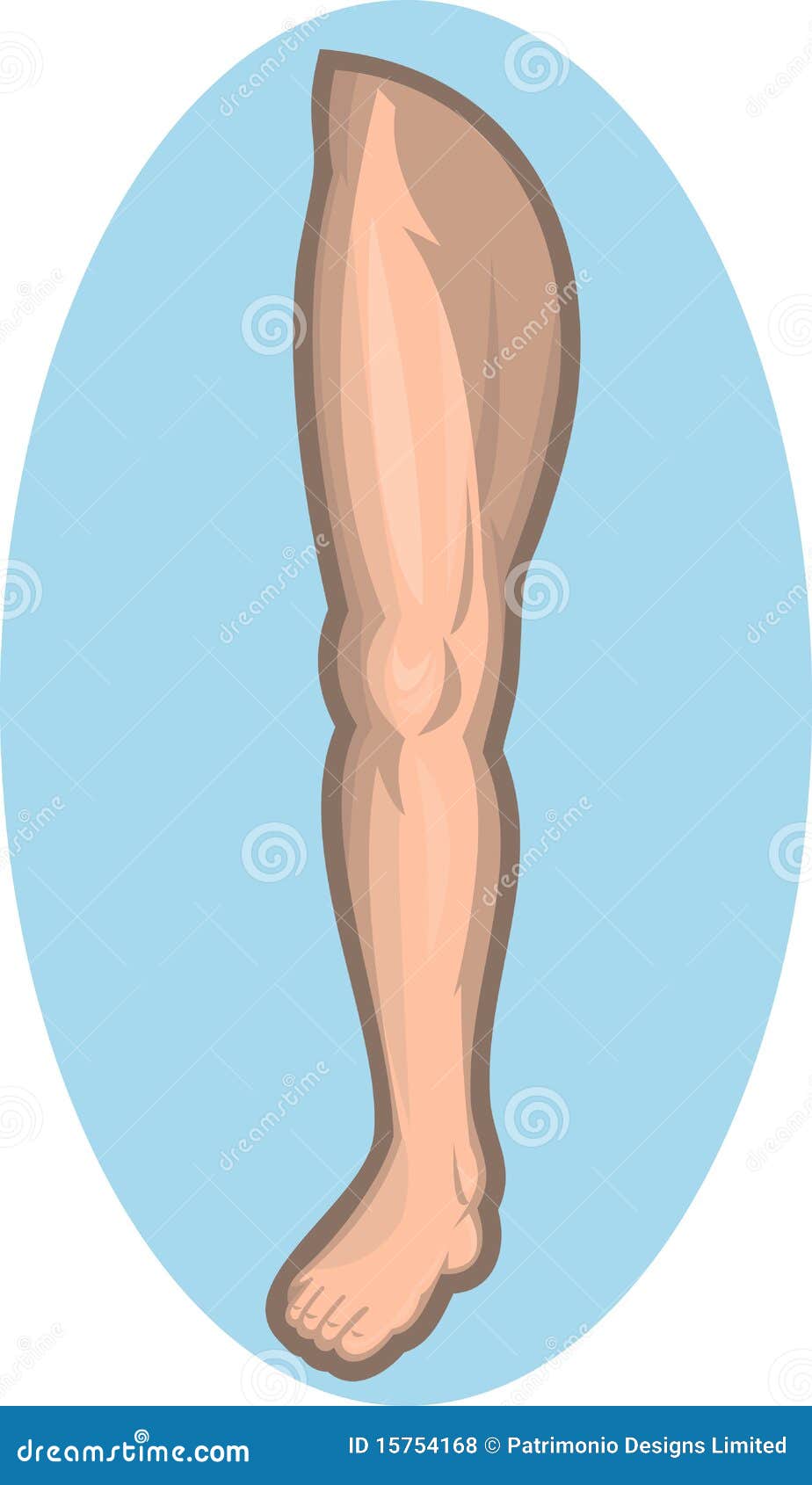 Human leg facing front stock illustration. Illustration of artwork ...