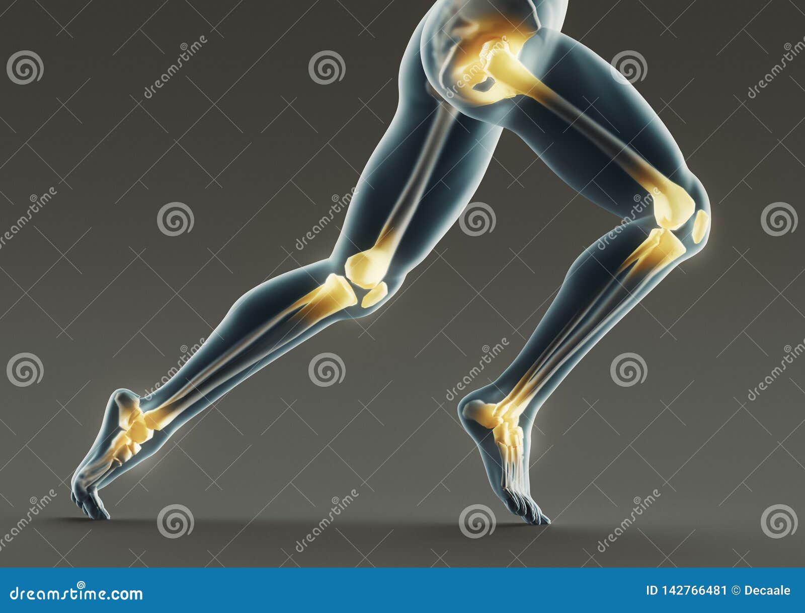 Human Legs and Bones, X Ray, 3d Rendering Stock Illustration ...