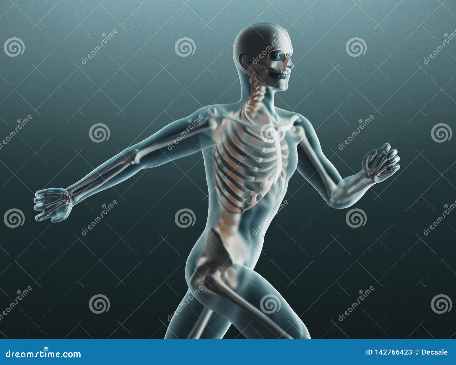 Human Legs and Bones, X Ray, 3d Rendering Stock Illustration ...