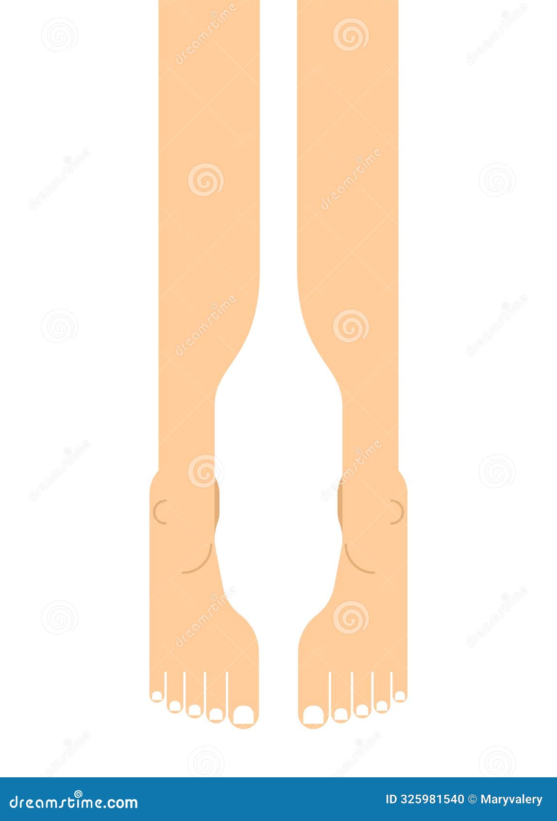 Human Legs Top View. Legs Isolated Stock Vector - Illustration of ...
