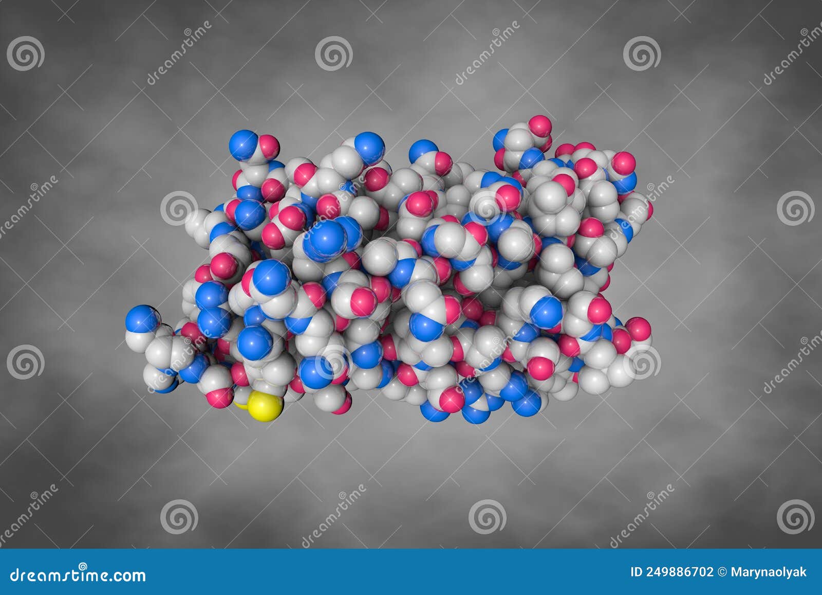 Human Leukemia Inhibitory Factor. Space-filling Molecular Model on Grey ...
