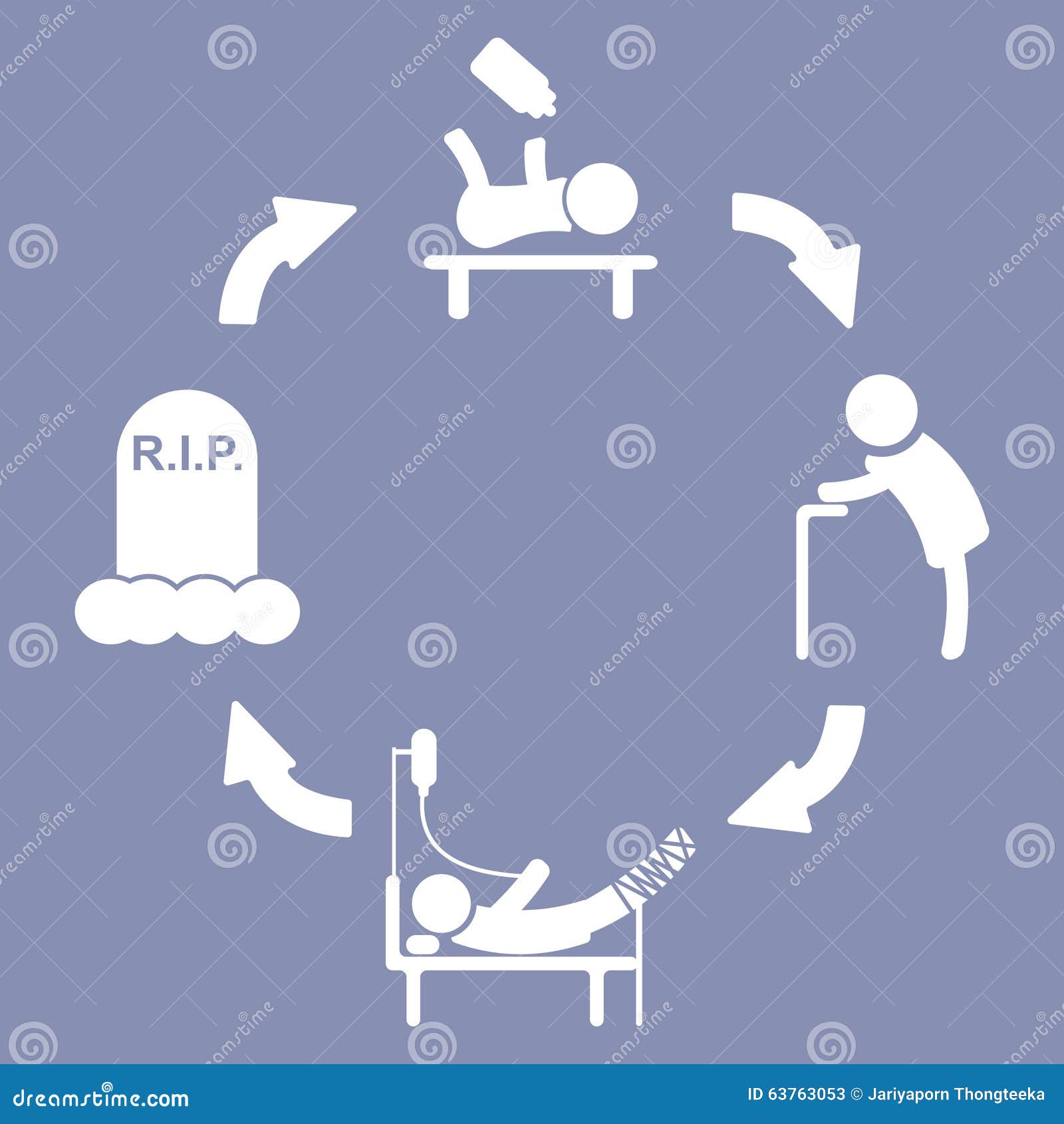 Human Life Cycle Process Stage Development Stick Figure Pictogram Icon ...