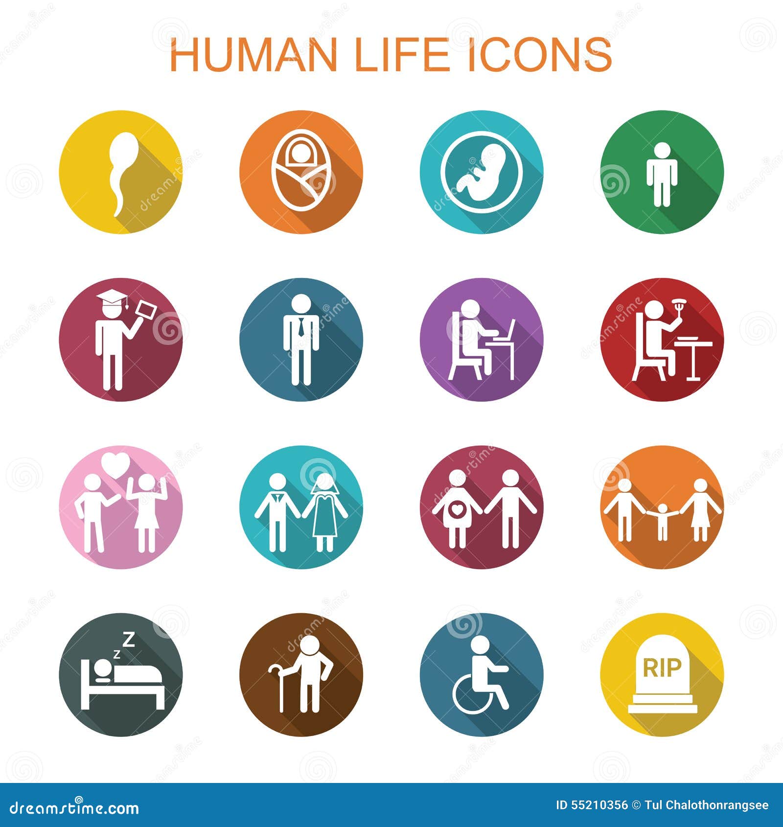 Human Life Cycle Stages Infographic Cartoon Vector | CartoonDealer.com ...