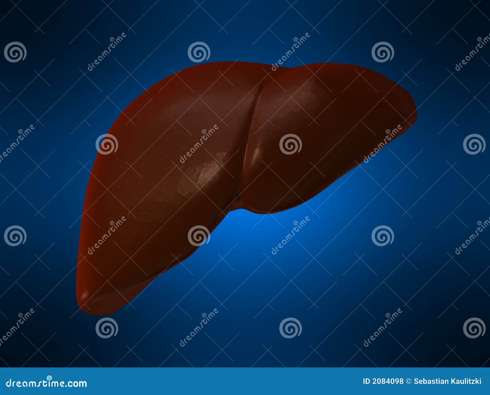 Liver Chemistry Stock Illustrations – 1,521 Liver Chemistry Stock ...