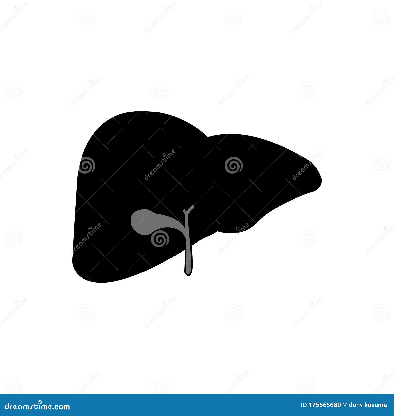 Human Liver Art Vector Illustration. Medicine Design Background Stock ...