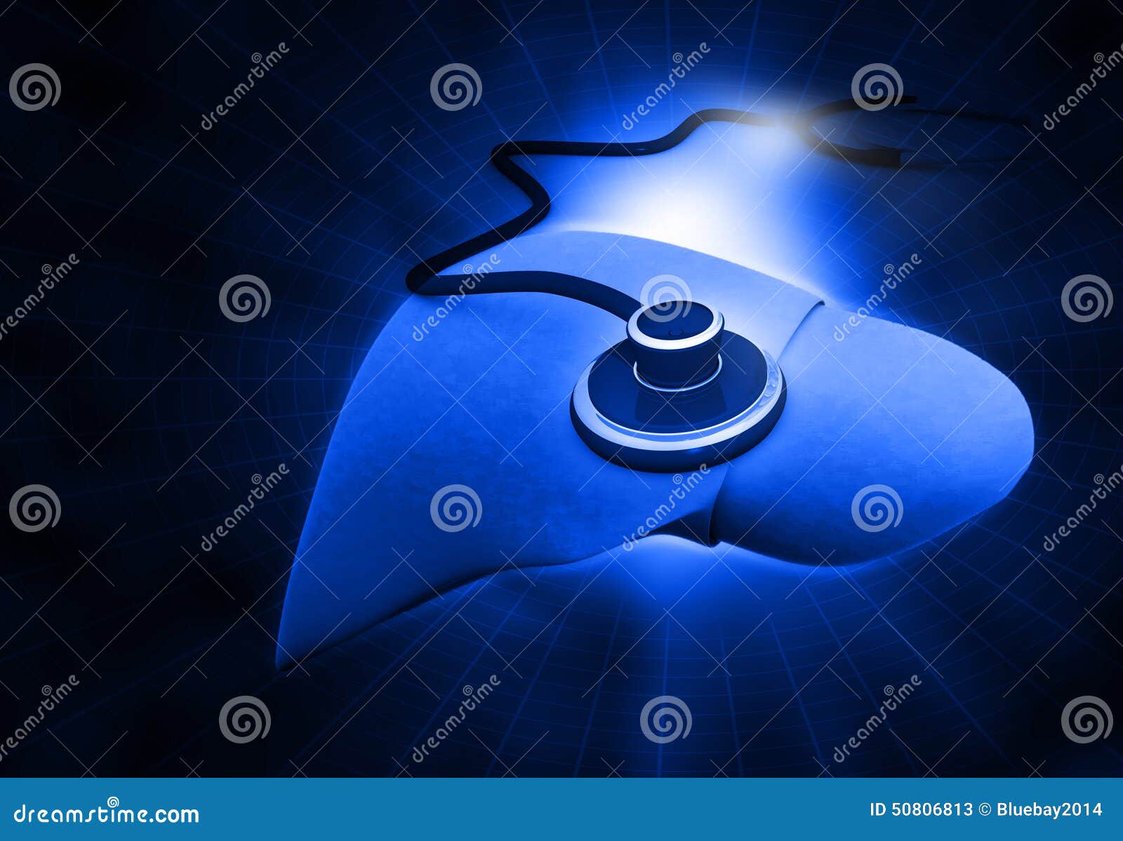 Human Liver stock illustration. Illustration of anatomy - 50806813