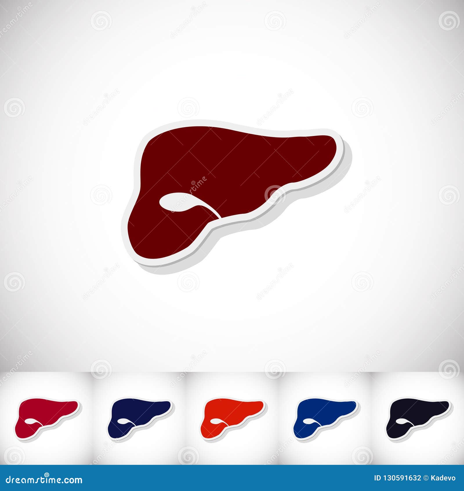 Human Liver. Flat Sticker with Shadow on White Background Stock Vector ...
