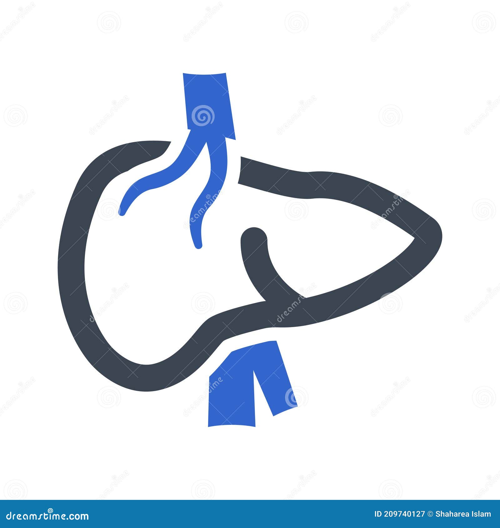 Human liver icon stock vector. Illustration of meticulously - 209740127