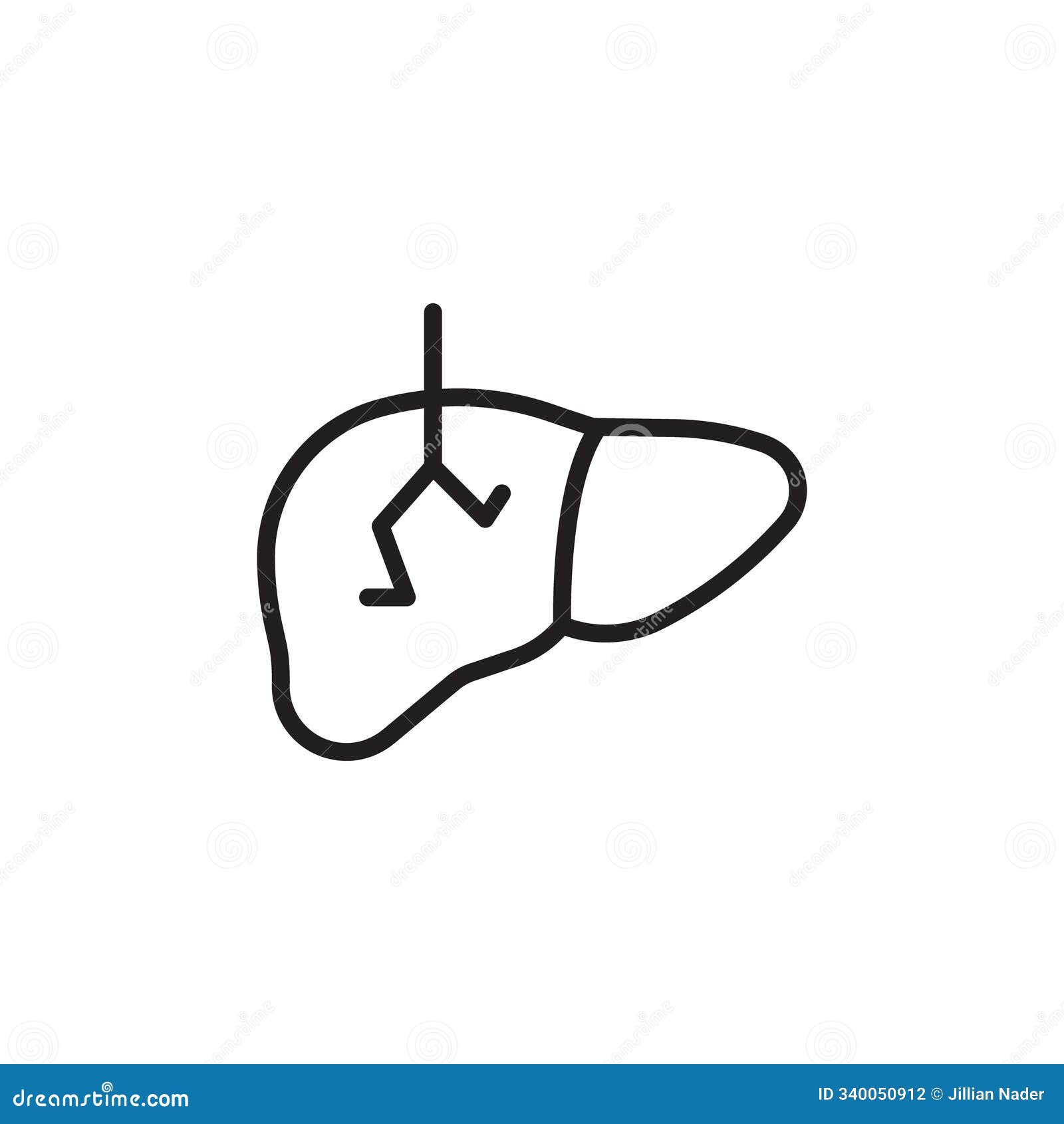 Liver Icon. Human Internal Organ Symbol. Sign Hepatic Vector ...