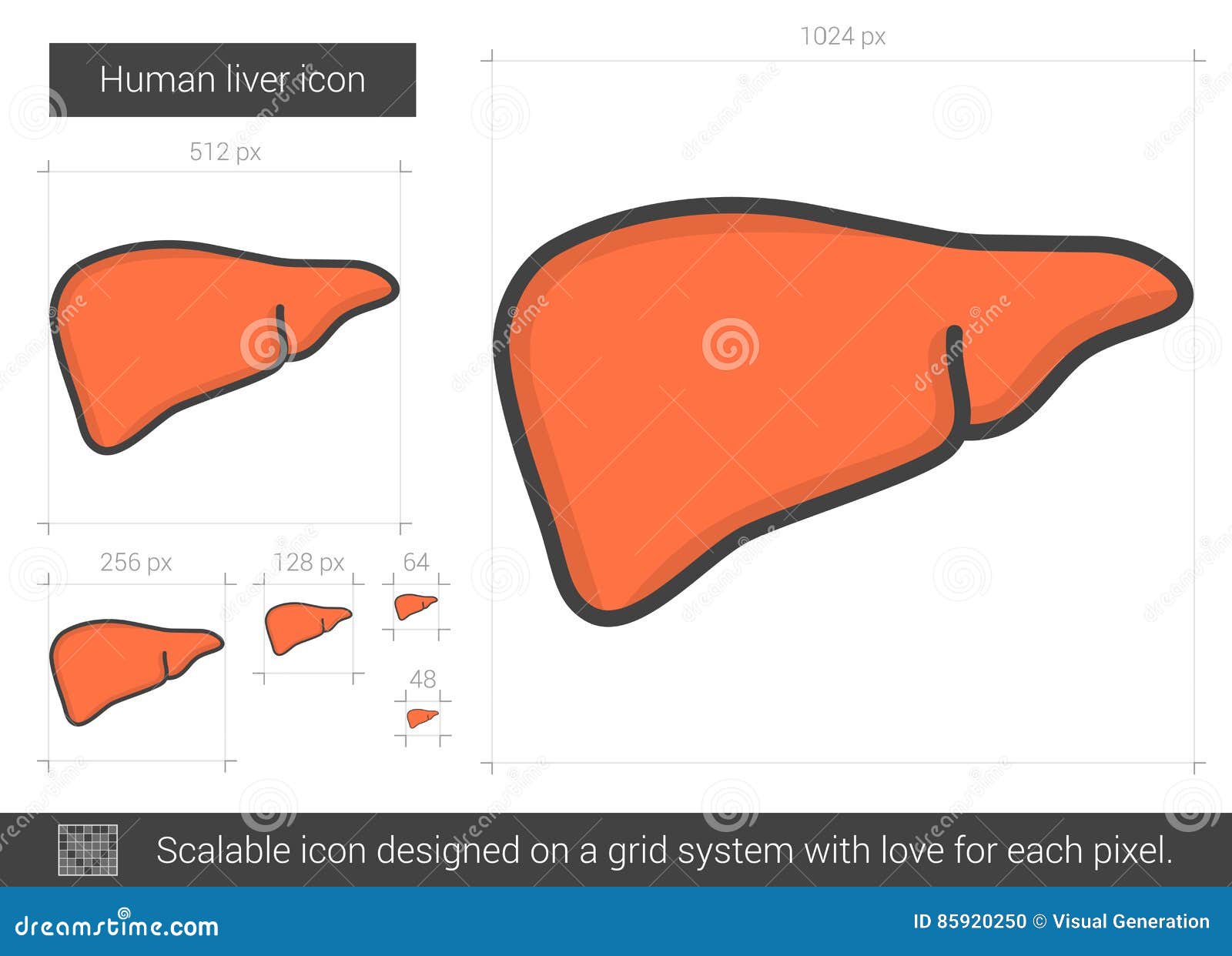 Human liver line icon. stock vector. Illustration of flat - 85920250