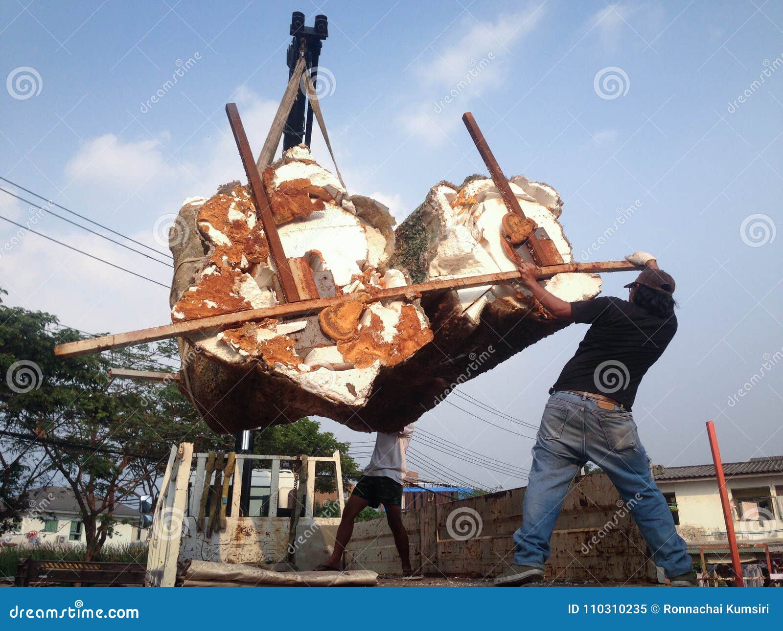 Human Loading Cut Tree Trunks Imitation on Great White Auto Truc ...