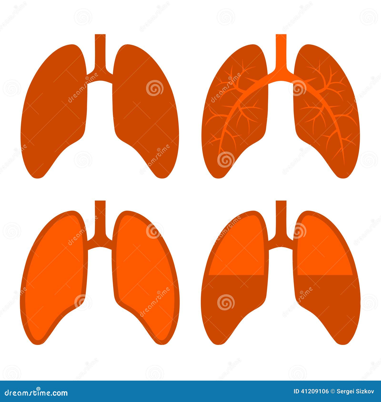 Human Lung Icons Set stock vector. Illustration of chest - 41209106