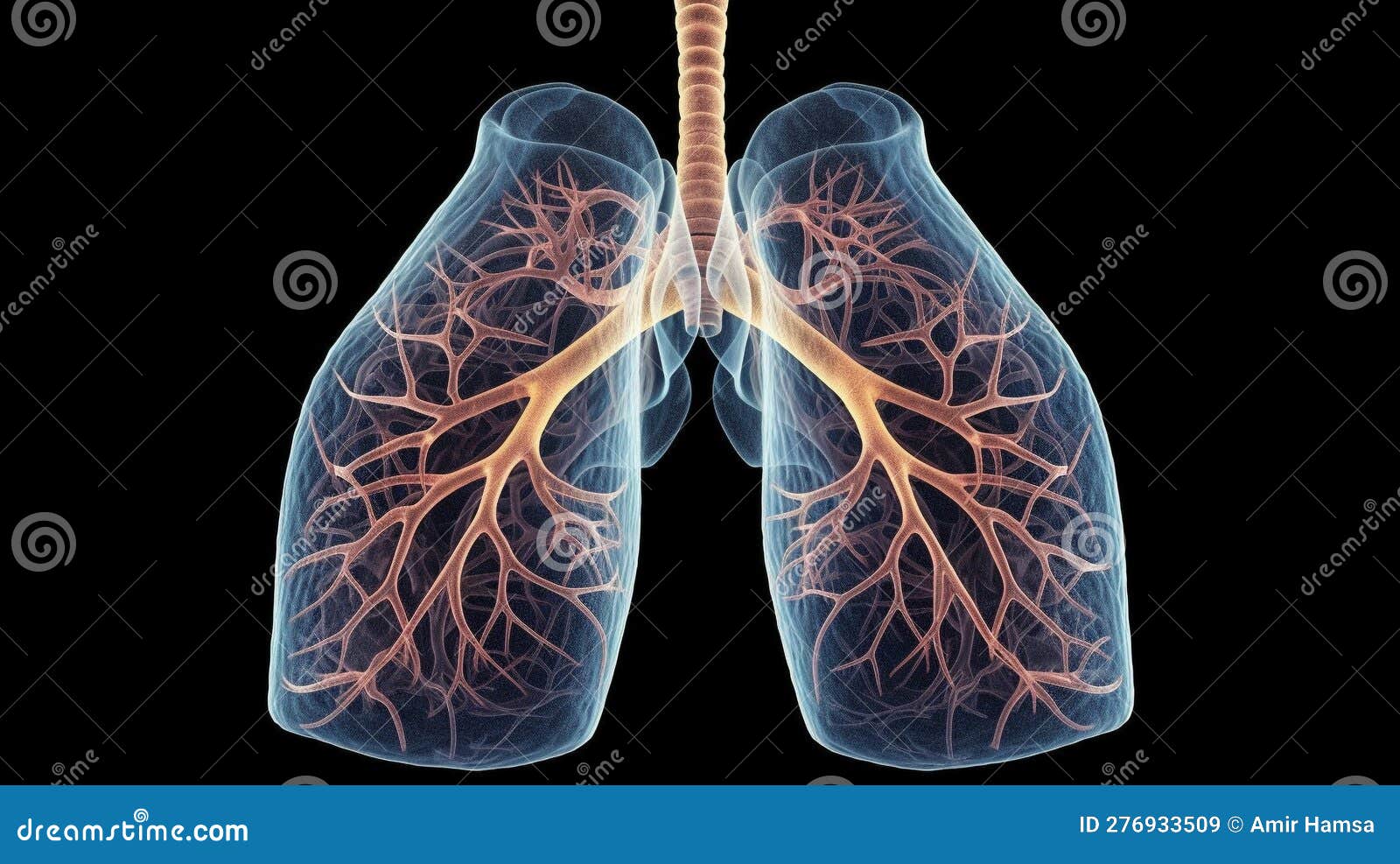 Human lung inner system stock illustration. Illustration of wing ...