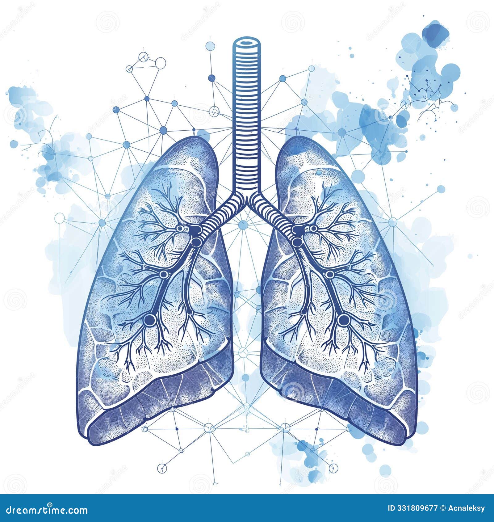 Human Lung Tissue Under Microscope View For Education Histology ...