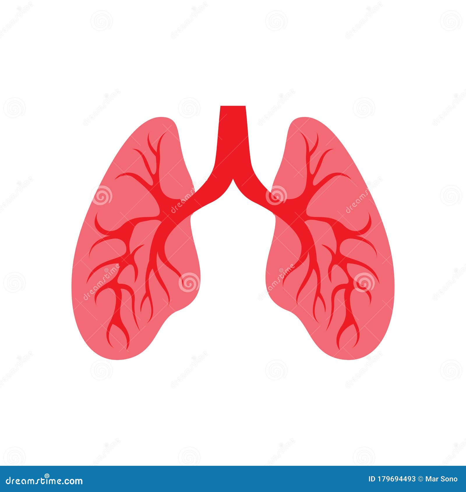 Human Lung Vector Image Template Icon Stock Vector - Illustration of ...