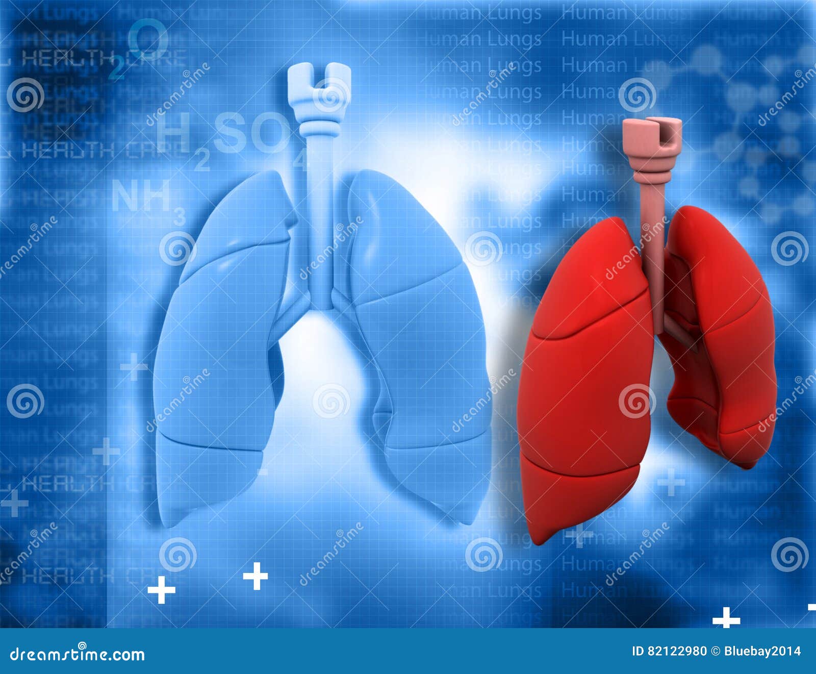 Human lungs stock illustration. Illustration of intestine - 82122980