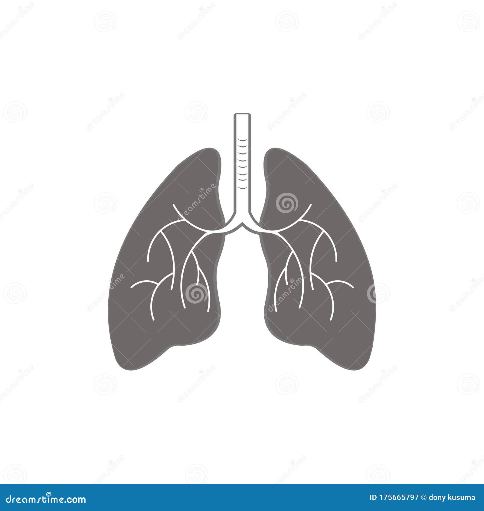 Human Lungs Art Vector Illustration. Medicine Design Background Stock ...