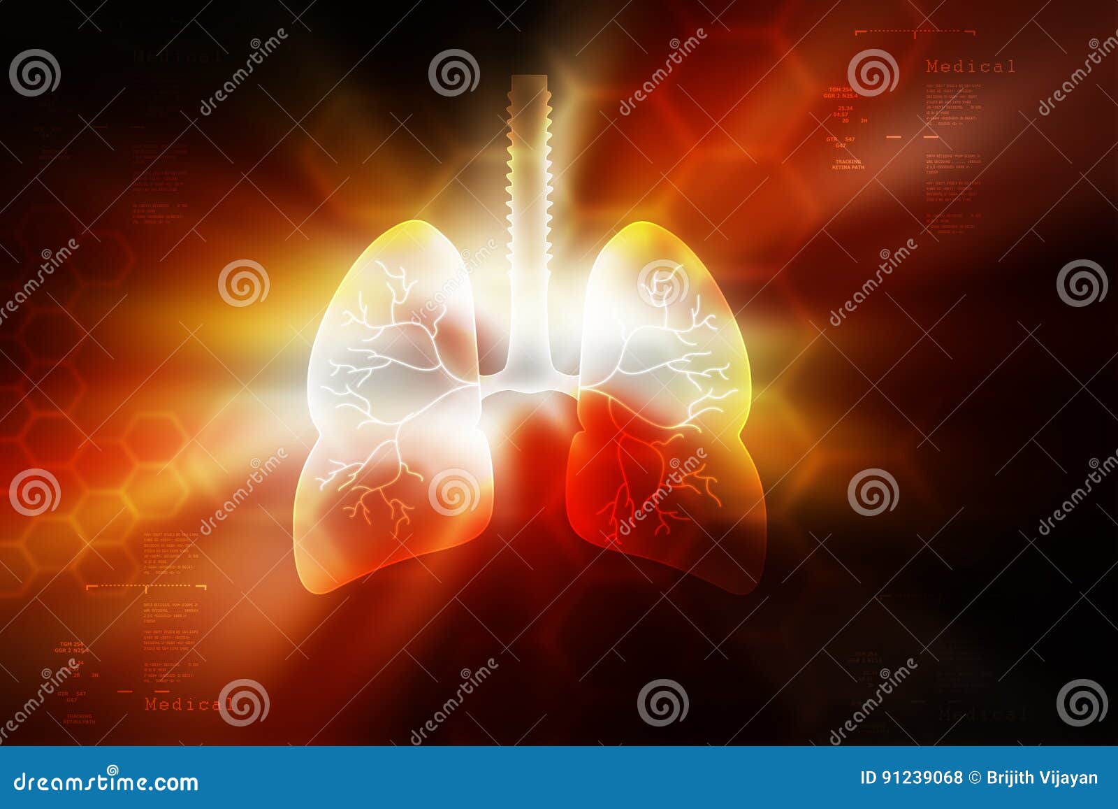 Human lungs stock illustration. Illustration of abstract - 91239068