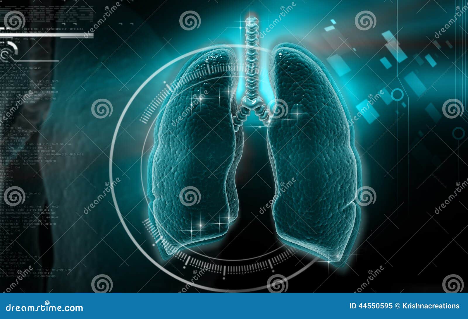 Human lungs stock illustration. Illustration of bronchitis - 44550595