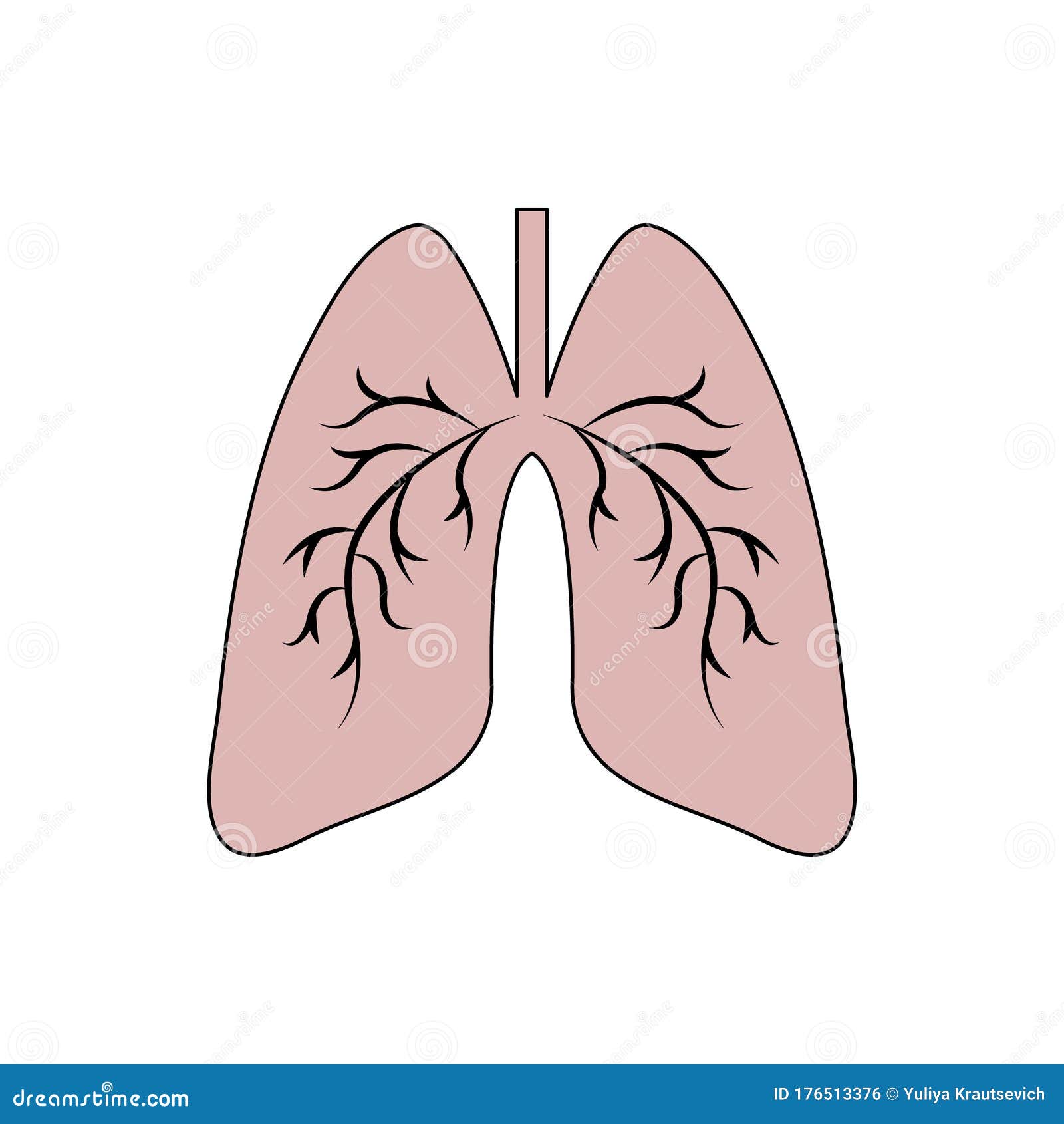 Human Lungs. Doodle Icon. Drawing by Hand. Vector Illustration Stock ...