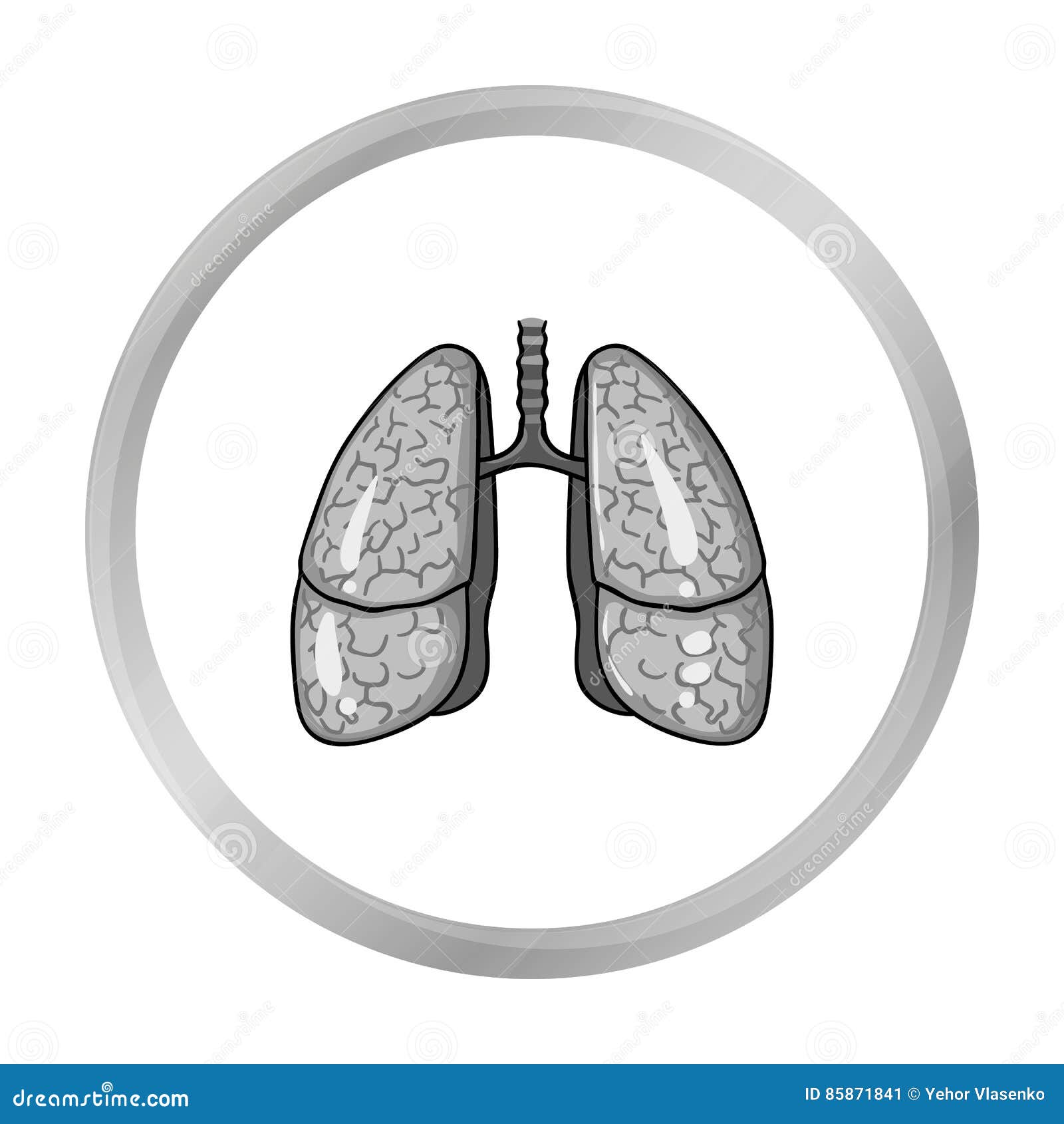 Human Lungs Icon In Monochrome Style Isolated On White Background