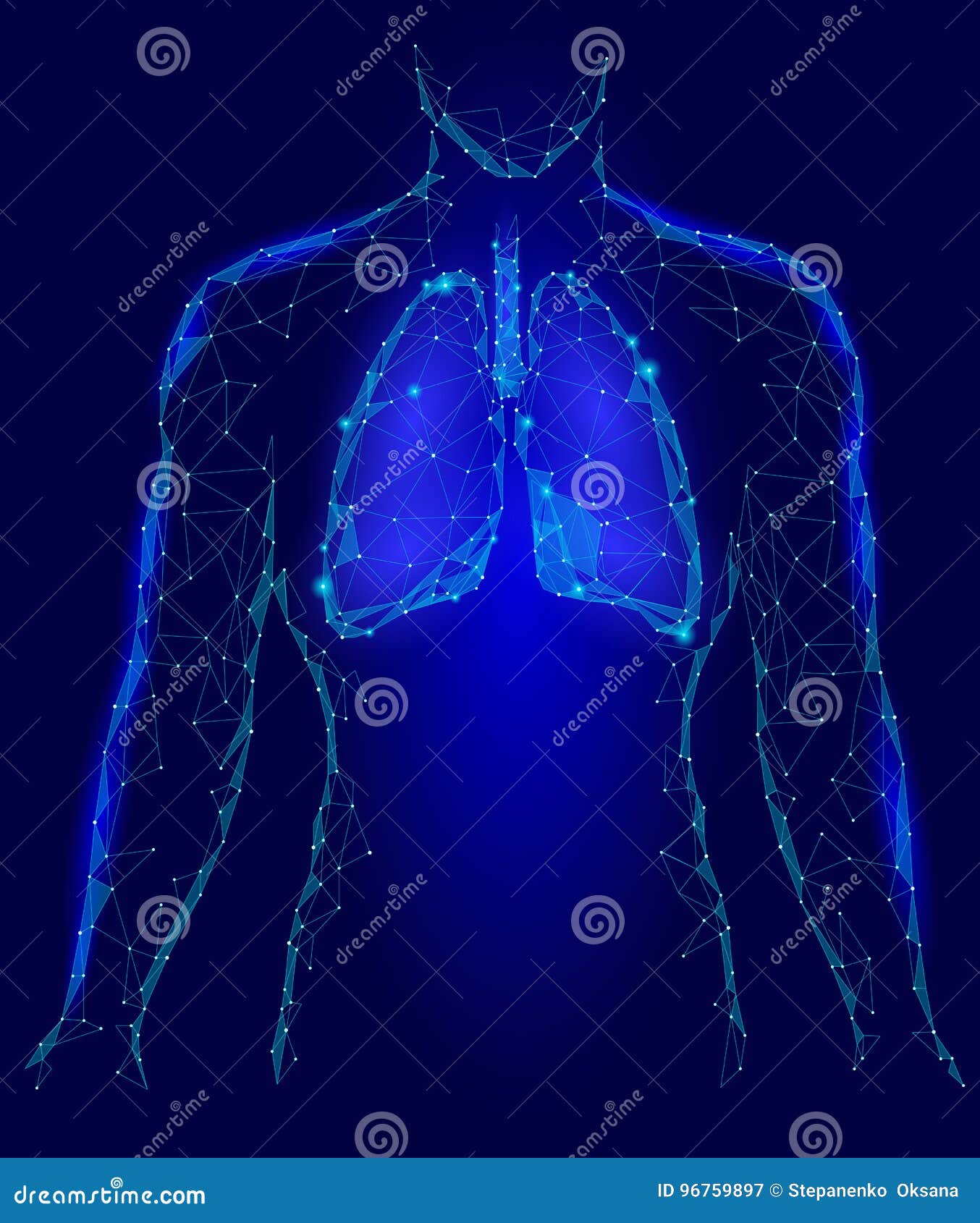 Human Lungs Internal Organ. Respiratory System Inside Body Silhouette ...