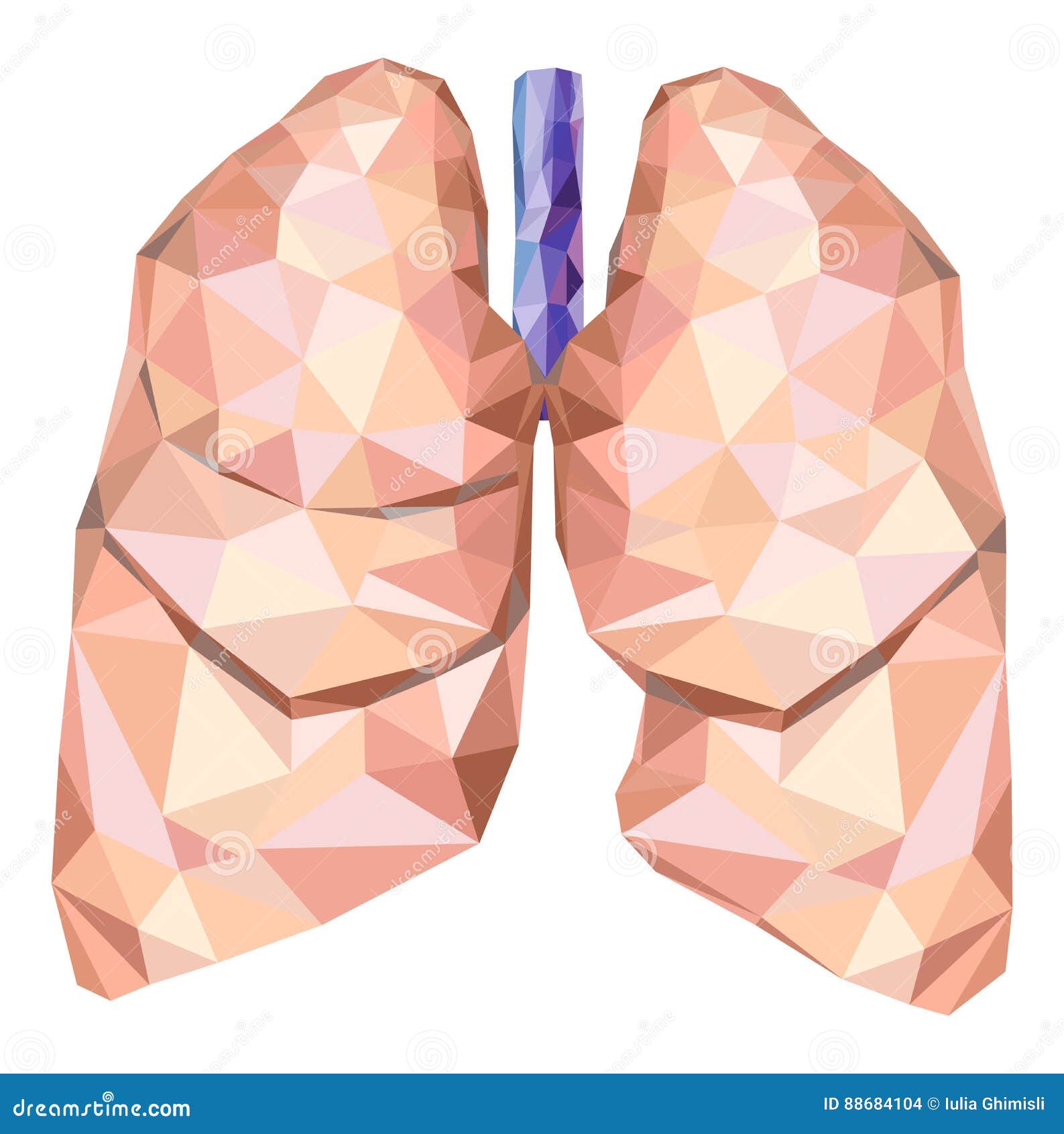 Human Lungs in Low Poly with Trachea. Vector Stock Vector ...