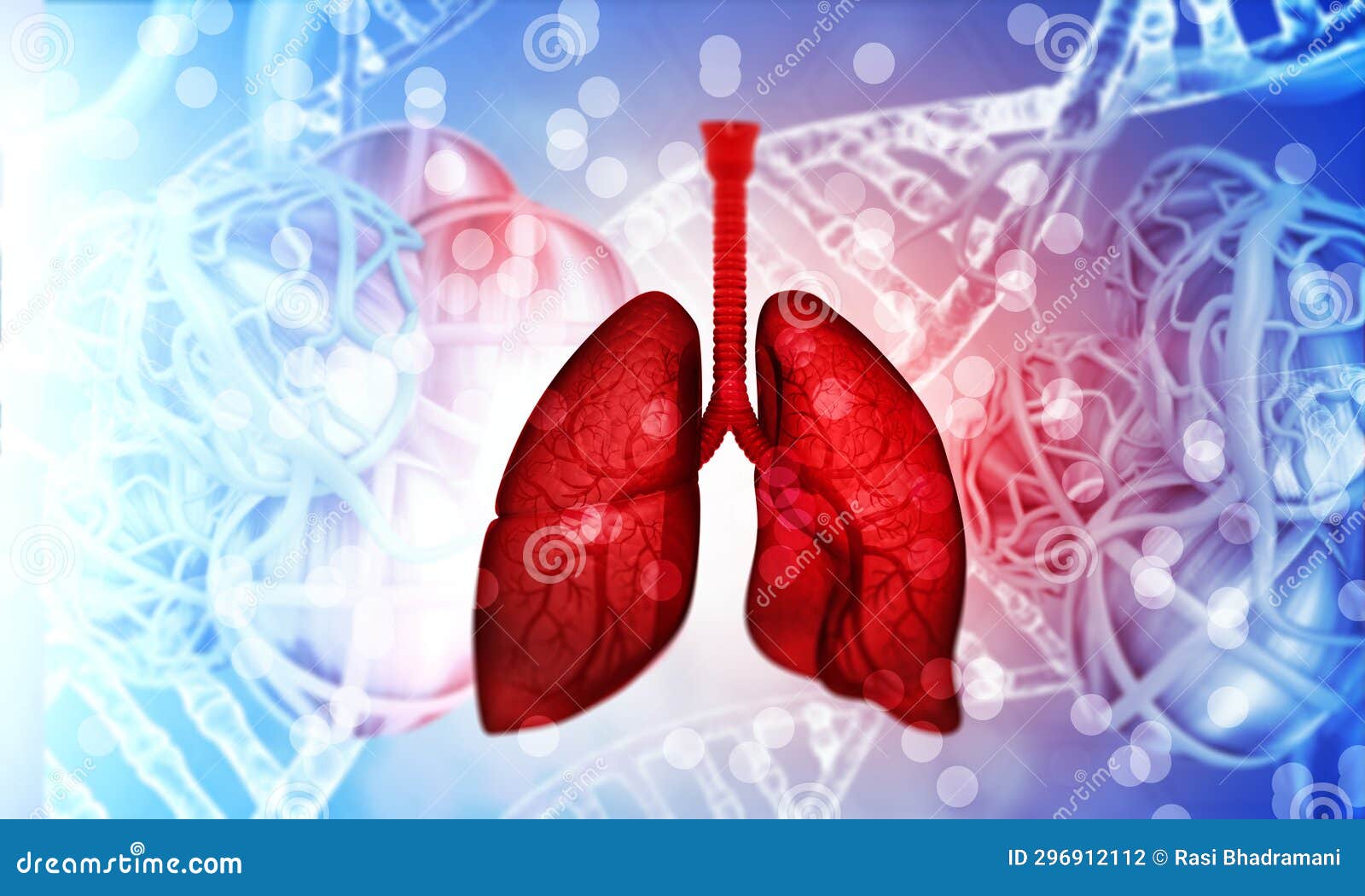 Human Lungs with Medical Background Stock Illustration - Illustration ...