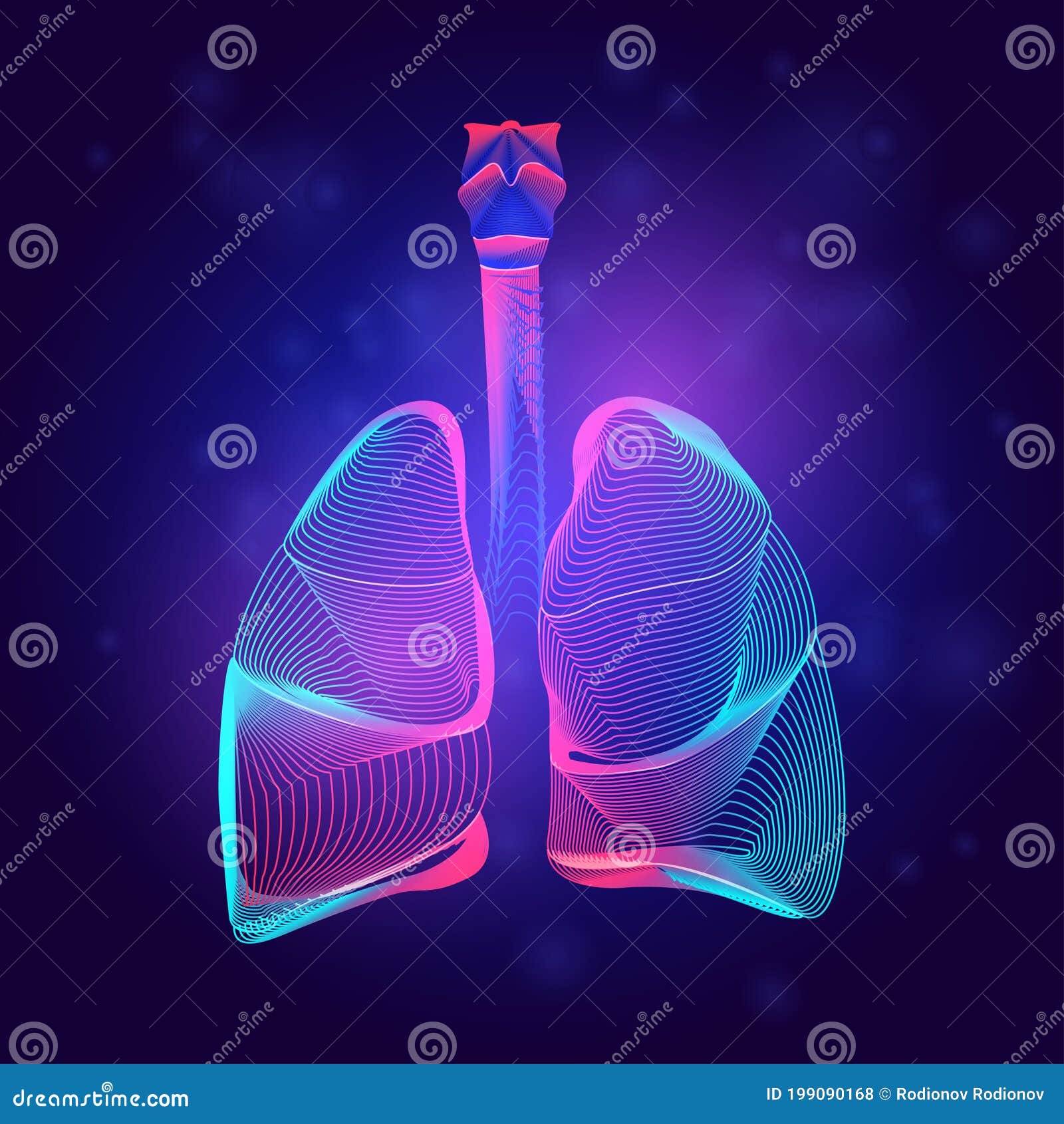 Human Lungs Medical Structure Outline Vector Illustration Of Body Part