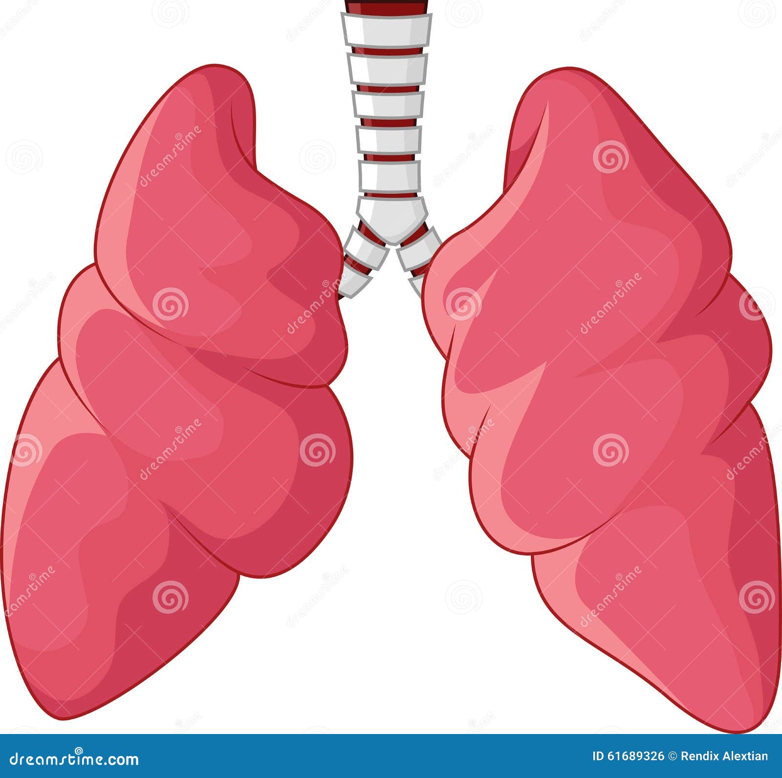 Human Lungs Respiratory Cartoon Stock Vector - Illustration of health ...