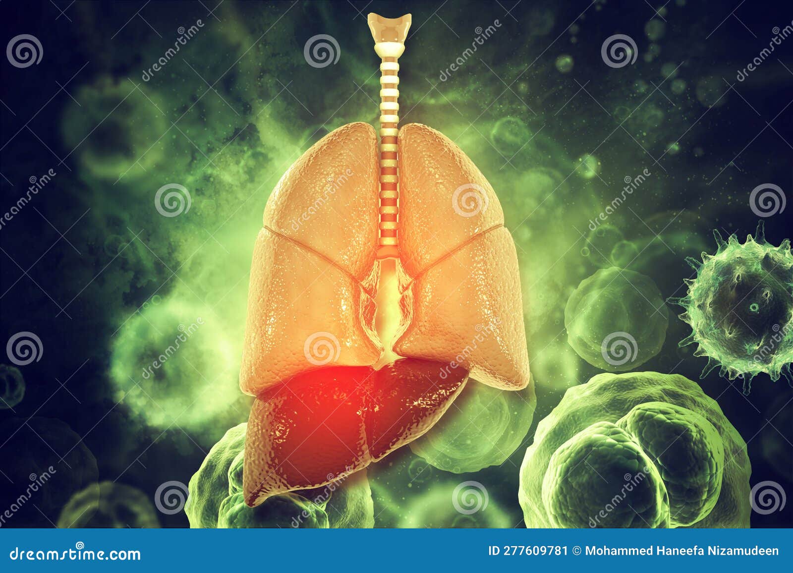 Human Lungs on Scientific Background Stock Illustration - Illustration ...