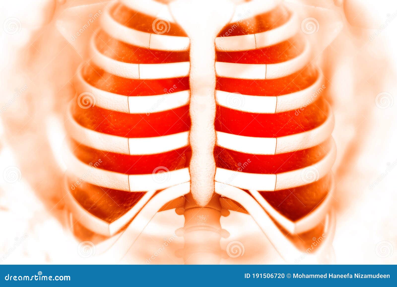 Human Lungs on Scientific Background Stock Illustration - Illustration ...