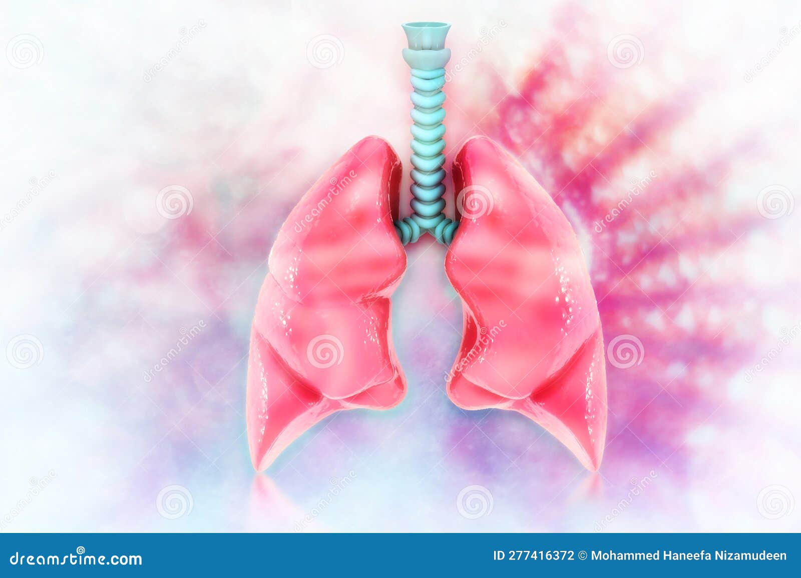 Human Lungs on Scientific Background Stock Illustration - Illustration ...
