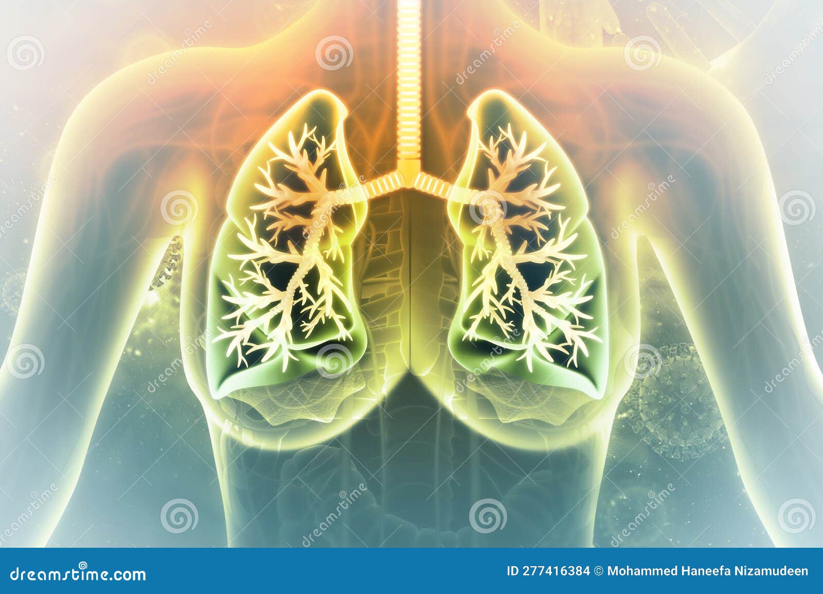 Human Lungs on Scientific Background Stock Illustration - Illustration ...
