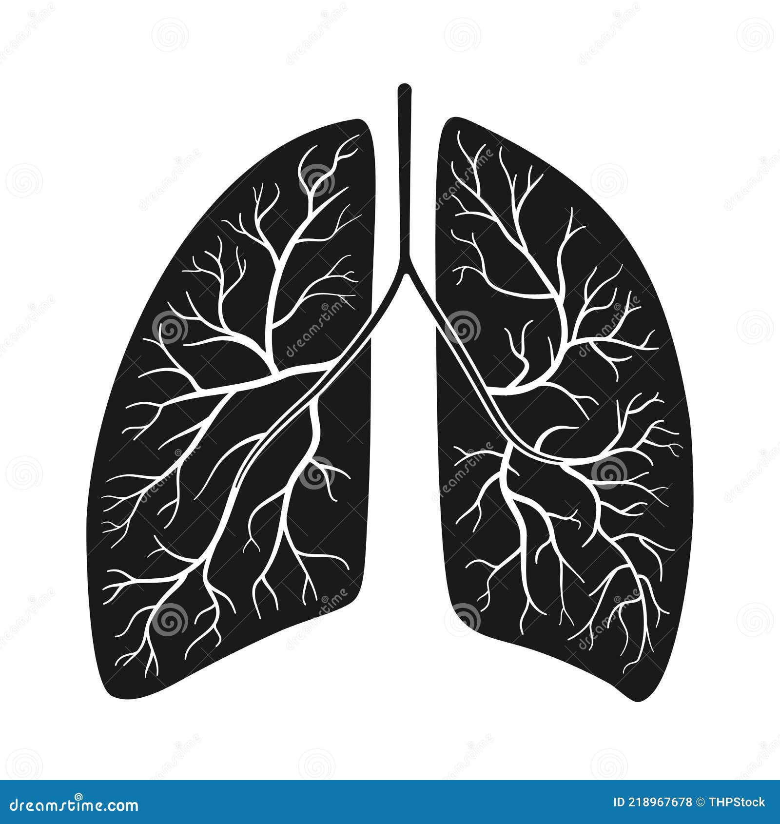 Lungs Vector Icon. Isolated On White Background. Internal Organs Of The ...