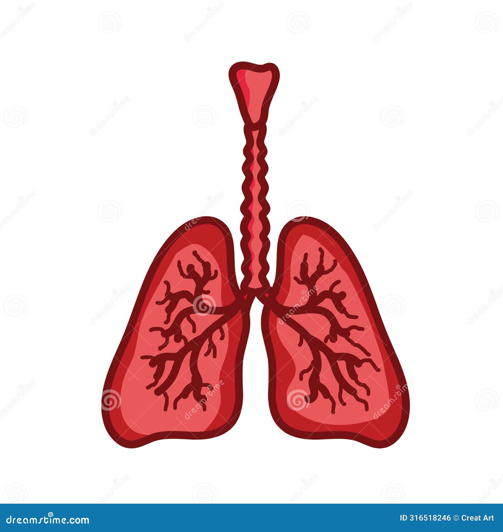Human Lungs Vector Illustration Stock Vector - Illustration of graphic ...