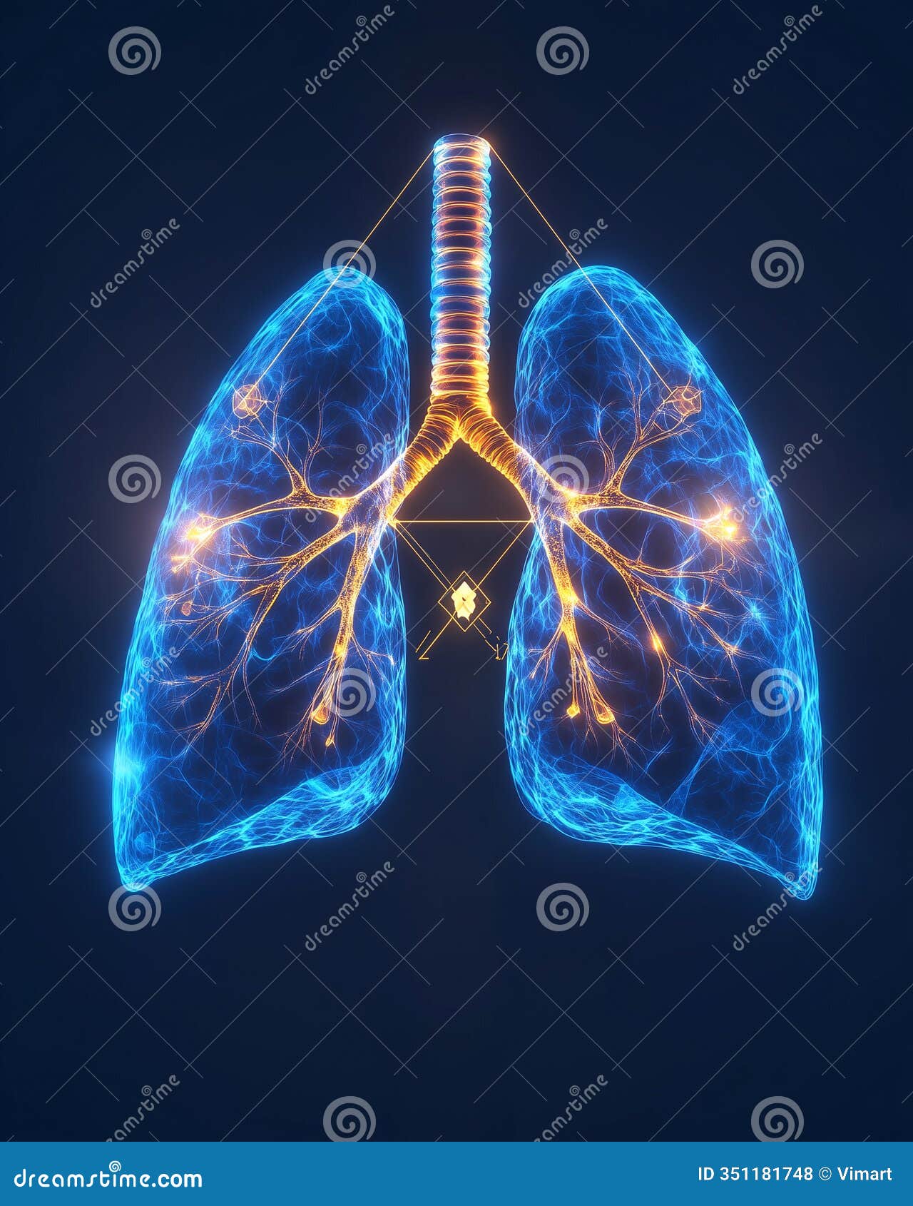 Human Lungs in a Visually Striking Way. this Vital Organ Stock Photo ...