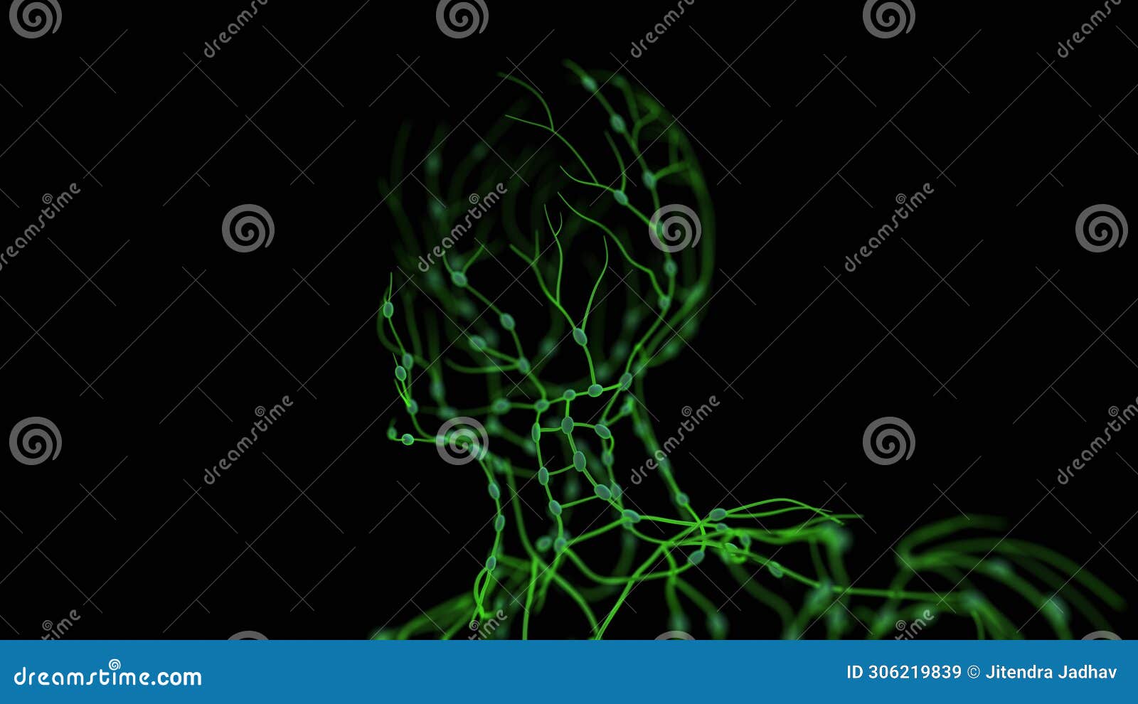 Human Lymphatic System Anatomy Animation Stock Image - Image of ...