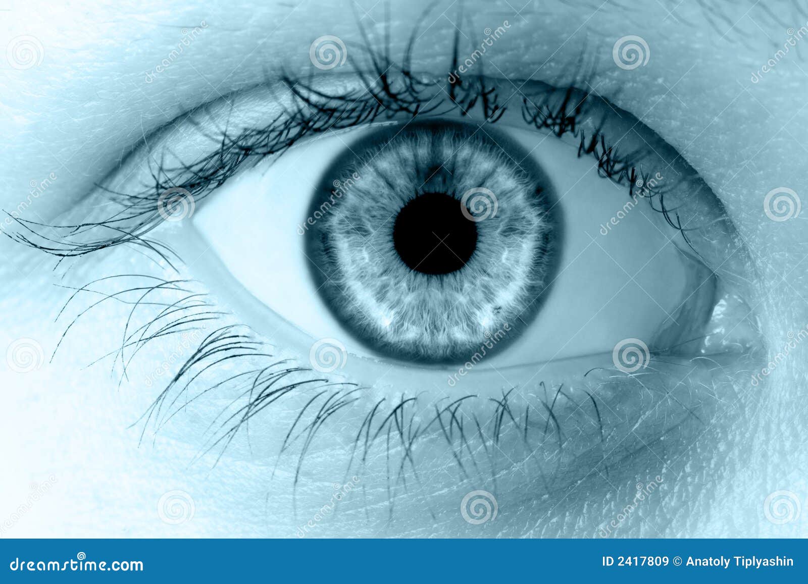 Human macro blue eye stock image. Image of beautiful, care - 2417809