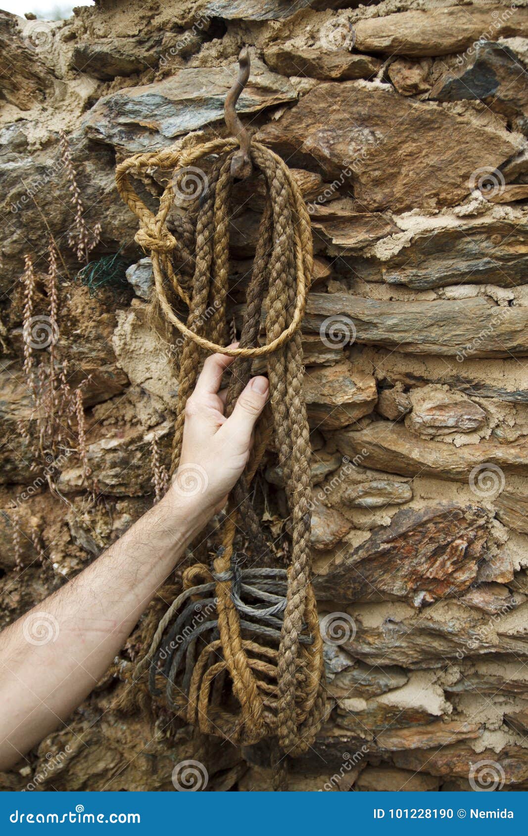 Rope in a wall stock photo. Image of brown, ropes, stone - 101228190