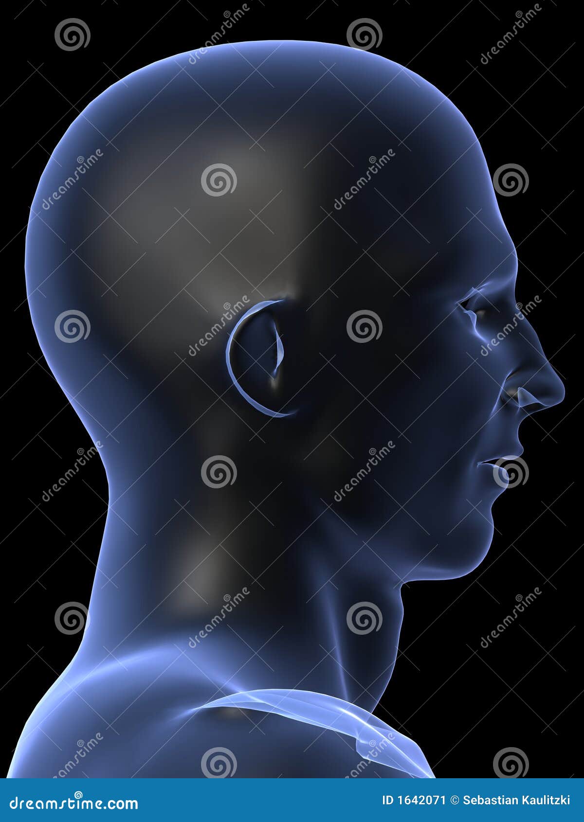 Human male shape stock illustration. Illustration of muscular - 1642071