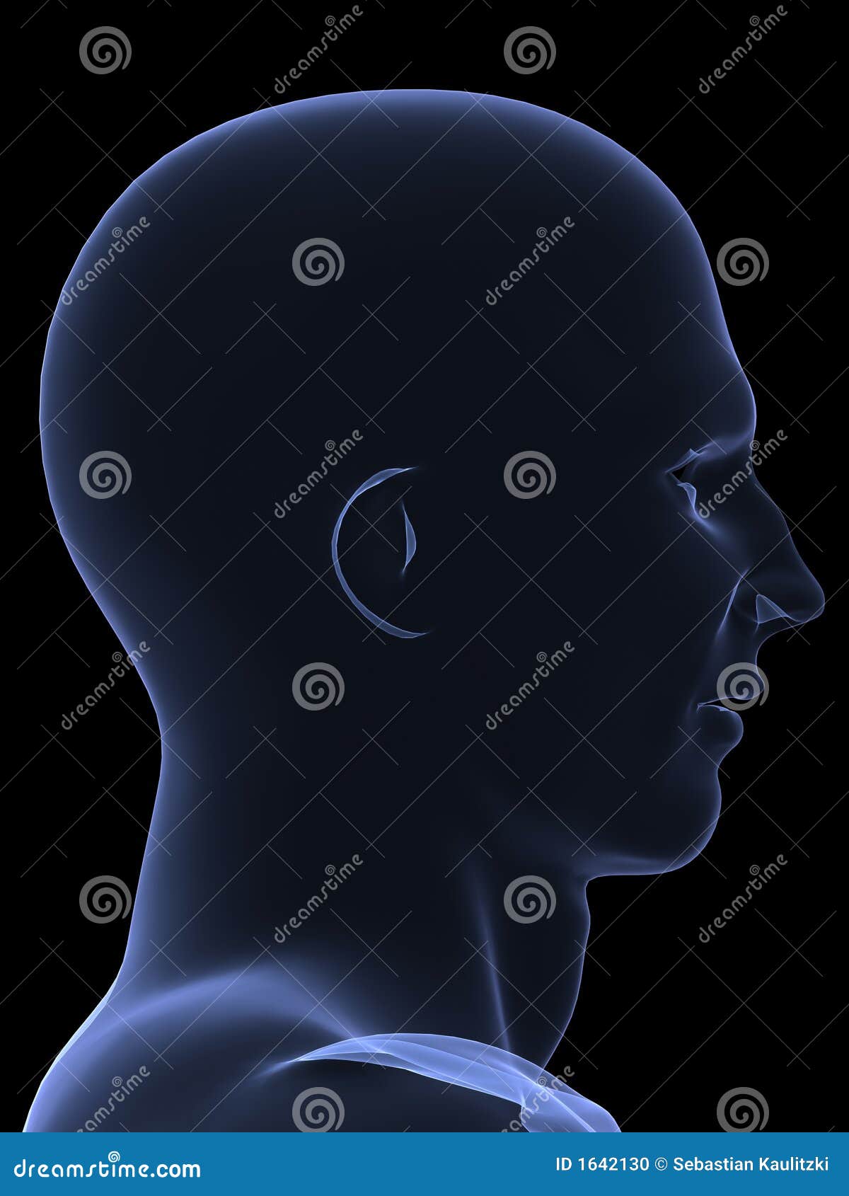 Human male shape stock illustration. Illustration of masculine - 1642130